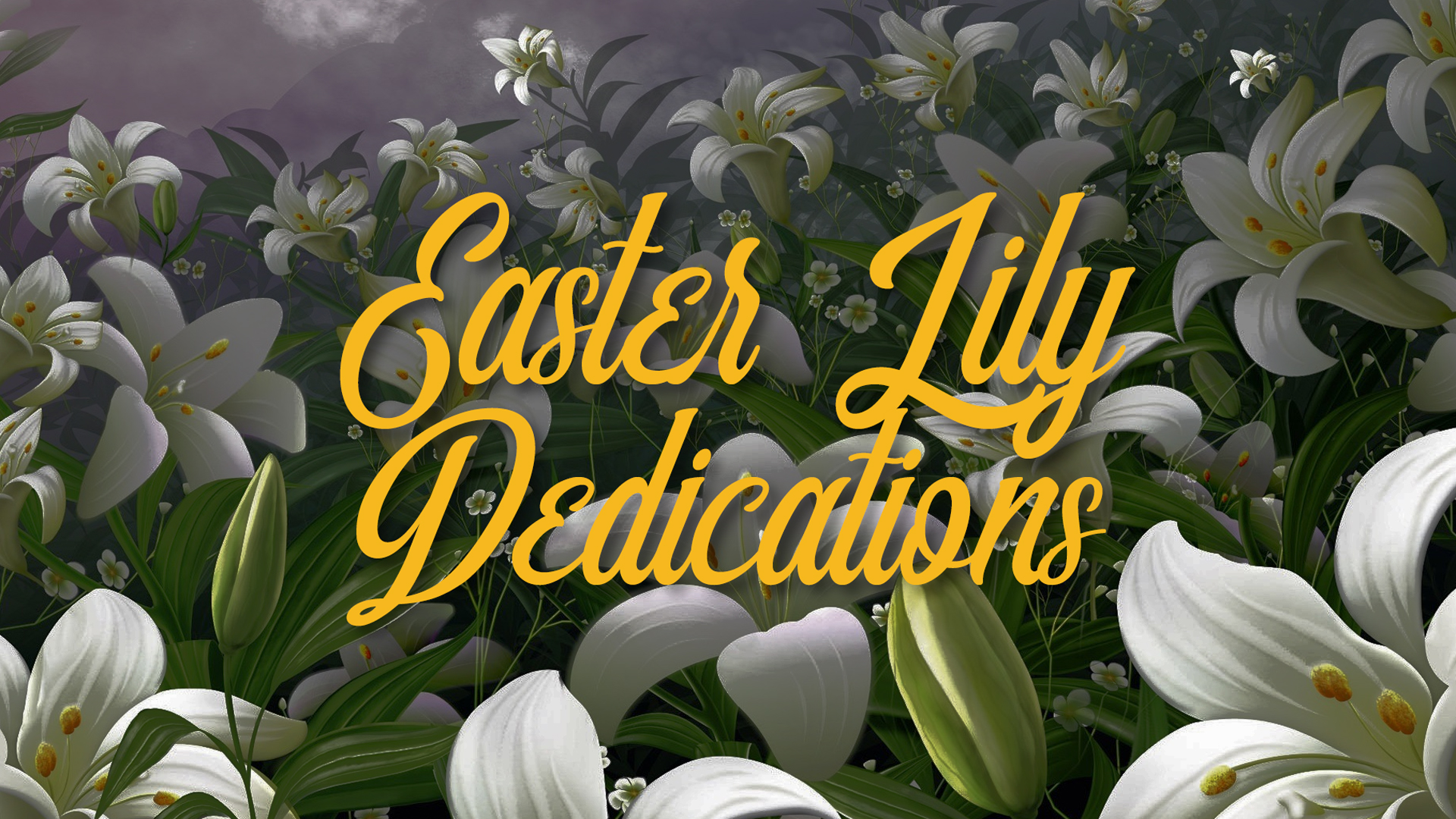 Easter Lily Dedications – Plainfield UMC Today